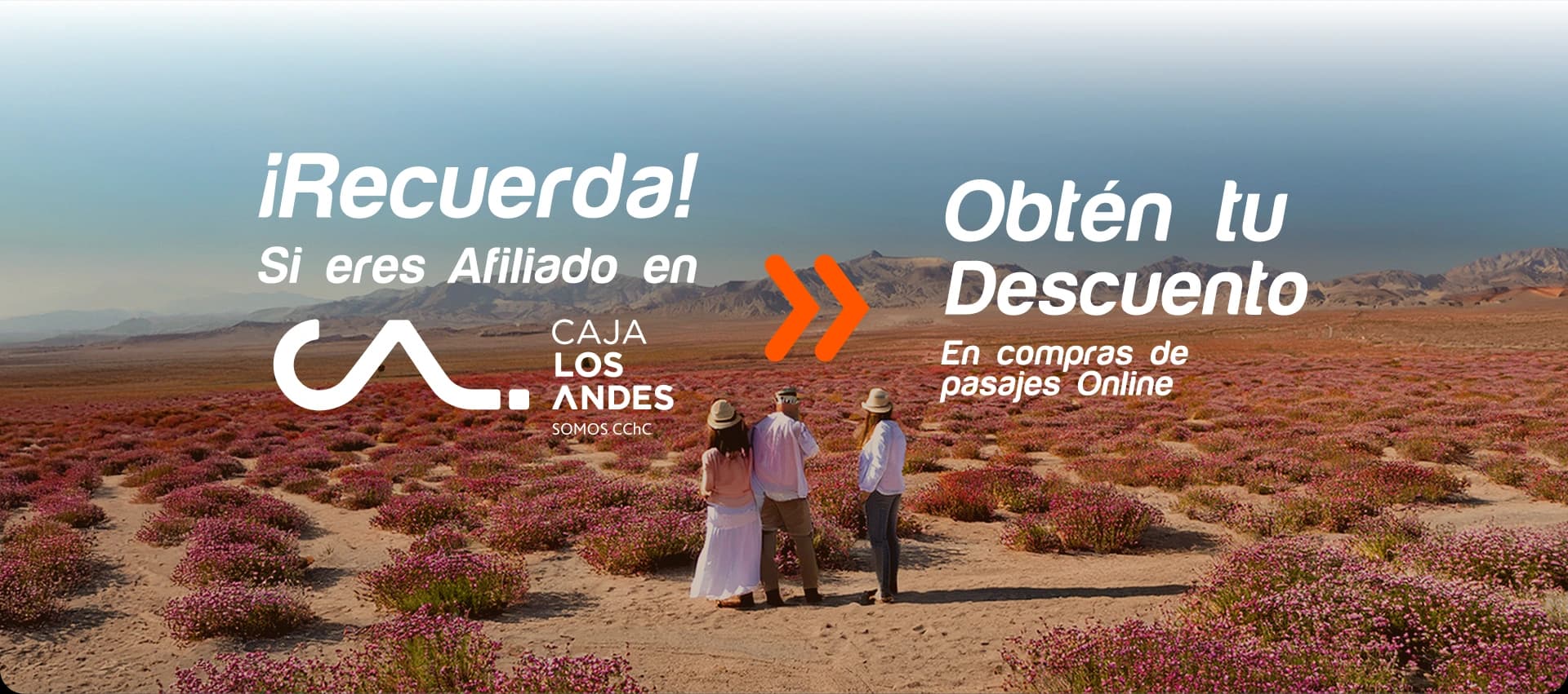 Compara y compra pasajes de bus, tren, transfer al aeropuerto en Chile ...